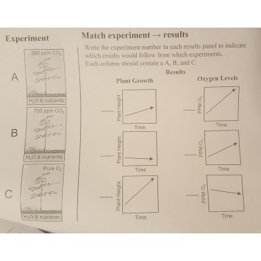 Solved Experiment 320 ppm 700 ppm co Match experiment | Chegg.com