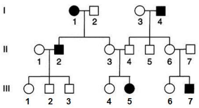 Solved For this question, refer to the following family | Chegg.com