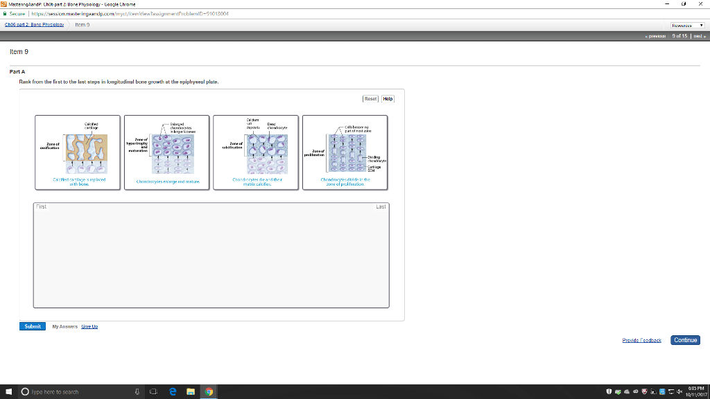 Solved Item9 Item 9 Part A Rank from the first to the lst | Chegg.com