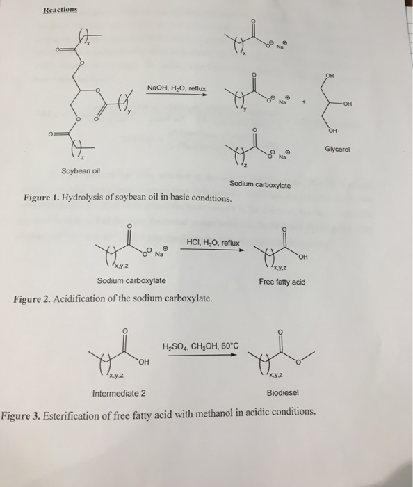 Soybean Oil Structural Formula