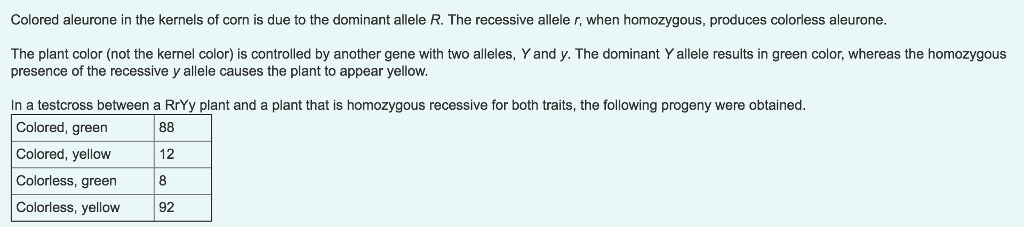 Solved Colored aleurone in the kernels of corn is due to the | Chegg.com