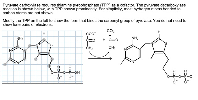 Solved Modify the TPP on the left to show the form that | Chegg.com
