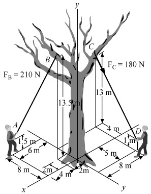 Solved Replace the two forces acting on the tree branches by | Chegg.com