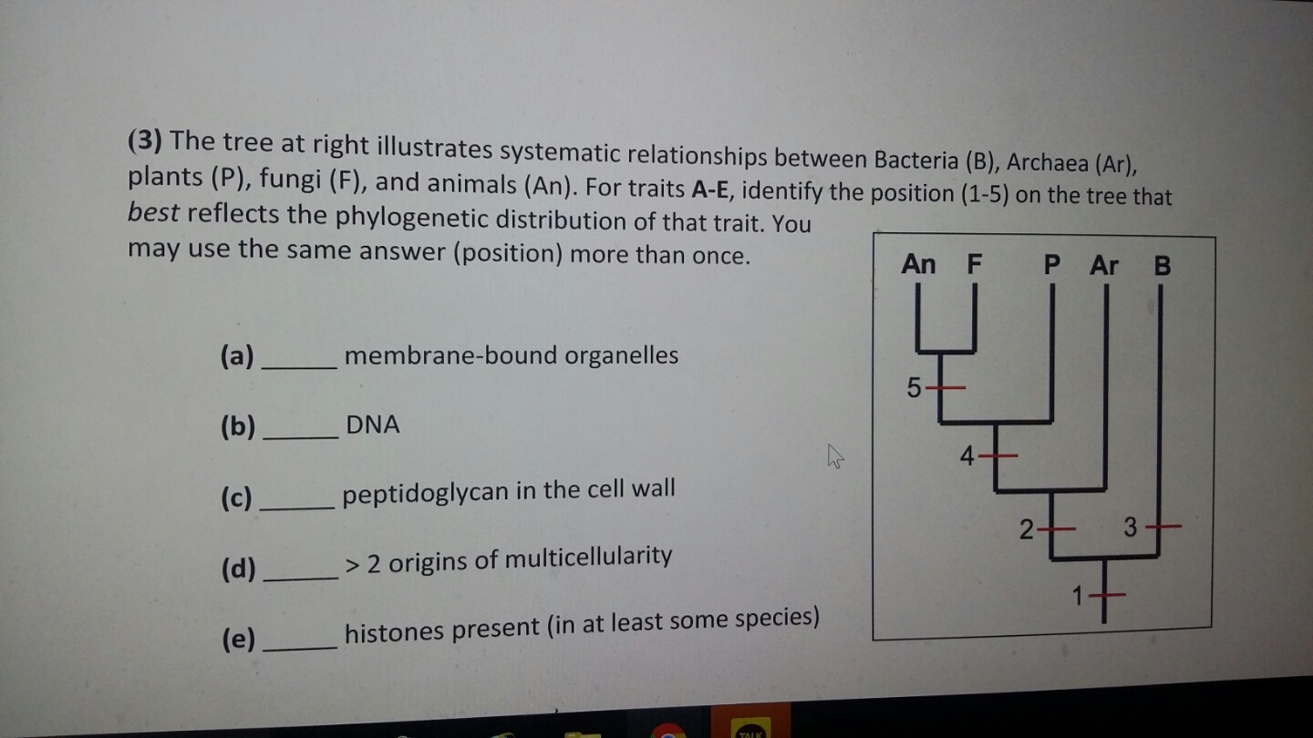 Solved The tree at right illustrates systematic | Chegg.com