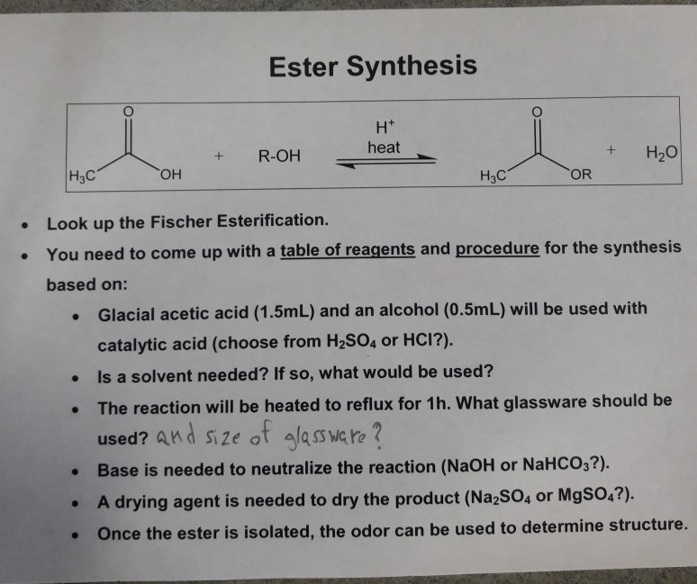 Solved can someone come up with a detailed procedure and the | Chegg.com