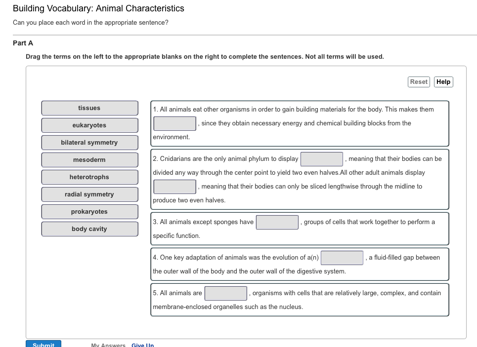 Solved: Can You Place Each Word In The Appropriate Sentenc... | Chegg.com