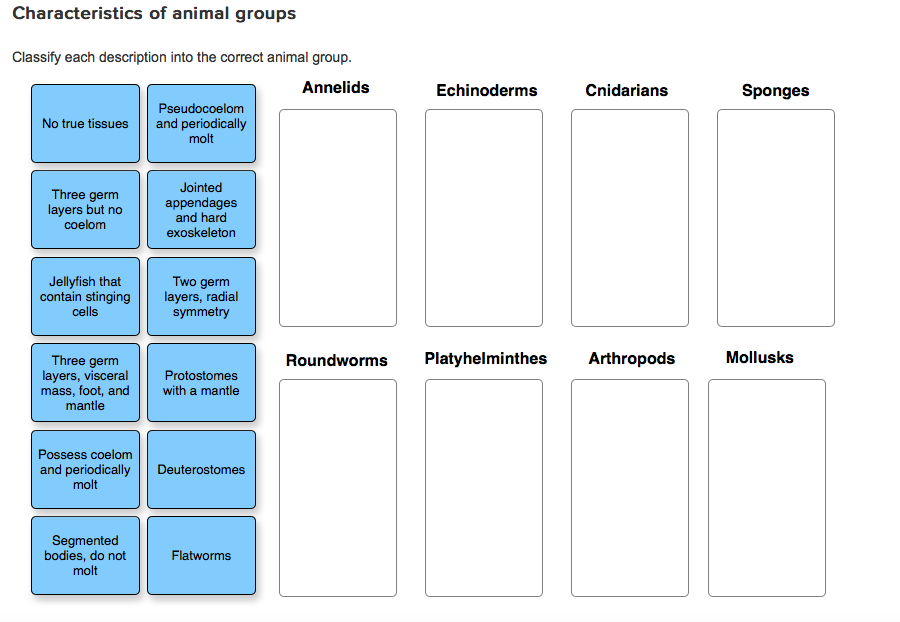 Solved Characteristics of animal groups Classify each | Chegg.com