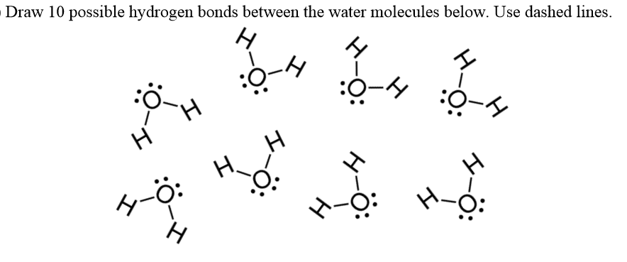 Solved Draw 10 possible hydrogen bonds between the water | Chegg.com
