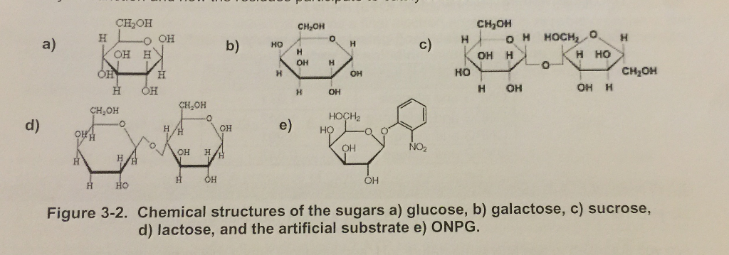 Solved Based on these data and the chemical structures of | Chegg.com