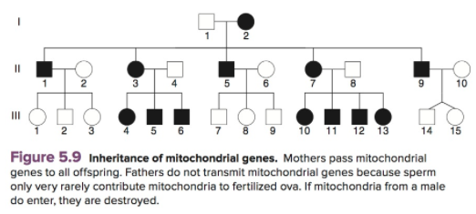 Solved The pedigree in Figure 5.9 in Lewis is for a | Chegg.com