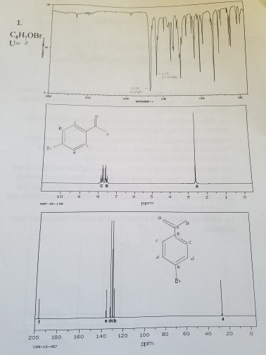 Solved For IR, annotate the major peaks. For NMR, label each | Chegg.com