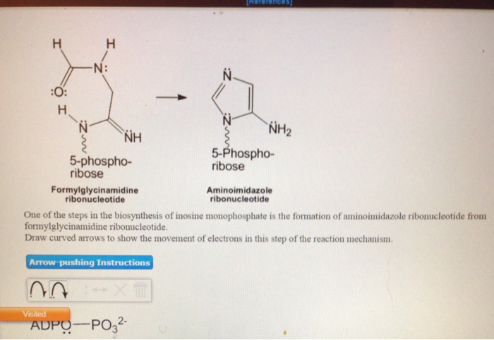 Solved O: NH NH 5-Phospho- 5-phospho- ribose ribose | Chegg.com