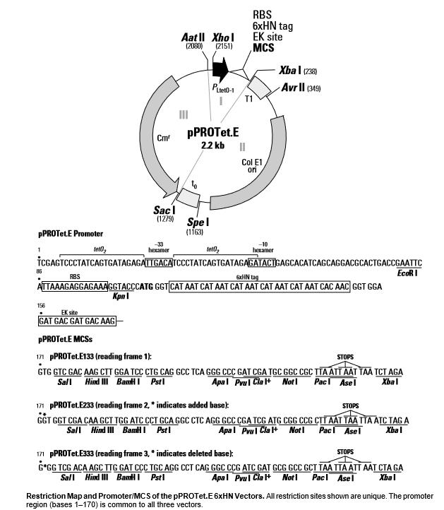 Solved 1.) Pick an expression vector for protein expression | Chegg.com