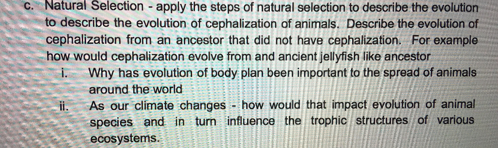 Solved c. Natural Selection - apply the steps of natural | Chegg.com