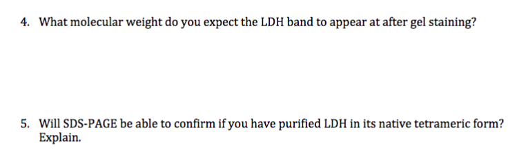 Solved 4. What molecular weight do you expect the LDH band | Chegg.com
