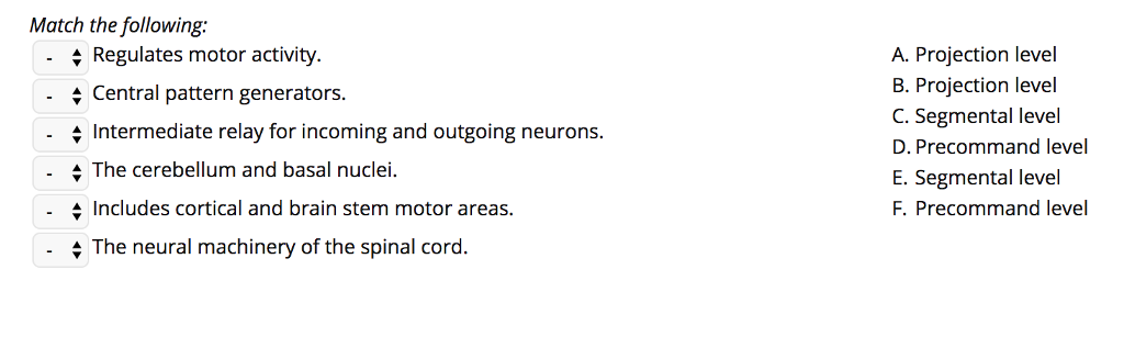 Solved Match the following: - Regulates motor activity. A. | Chegg.com