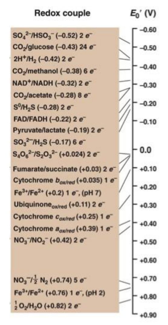 Solved 1a) Based on the arrangement of redox couples in the | Chegg.com