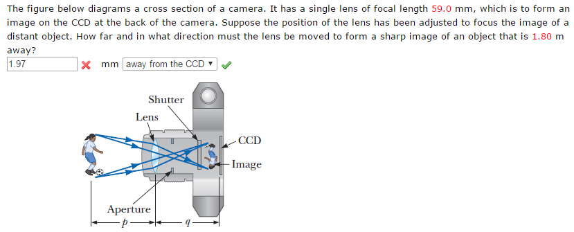 Solved The figure below diagrams a cross section of a | Chegg.com