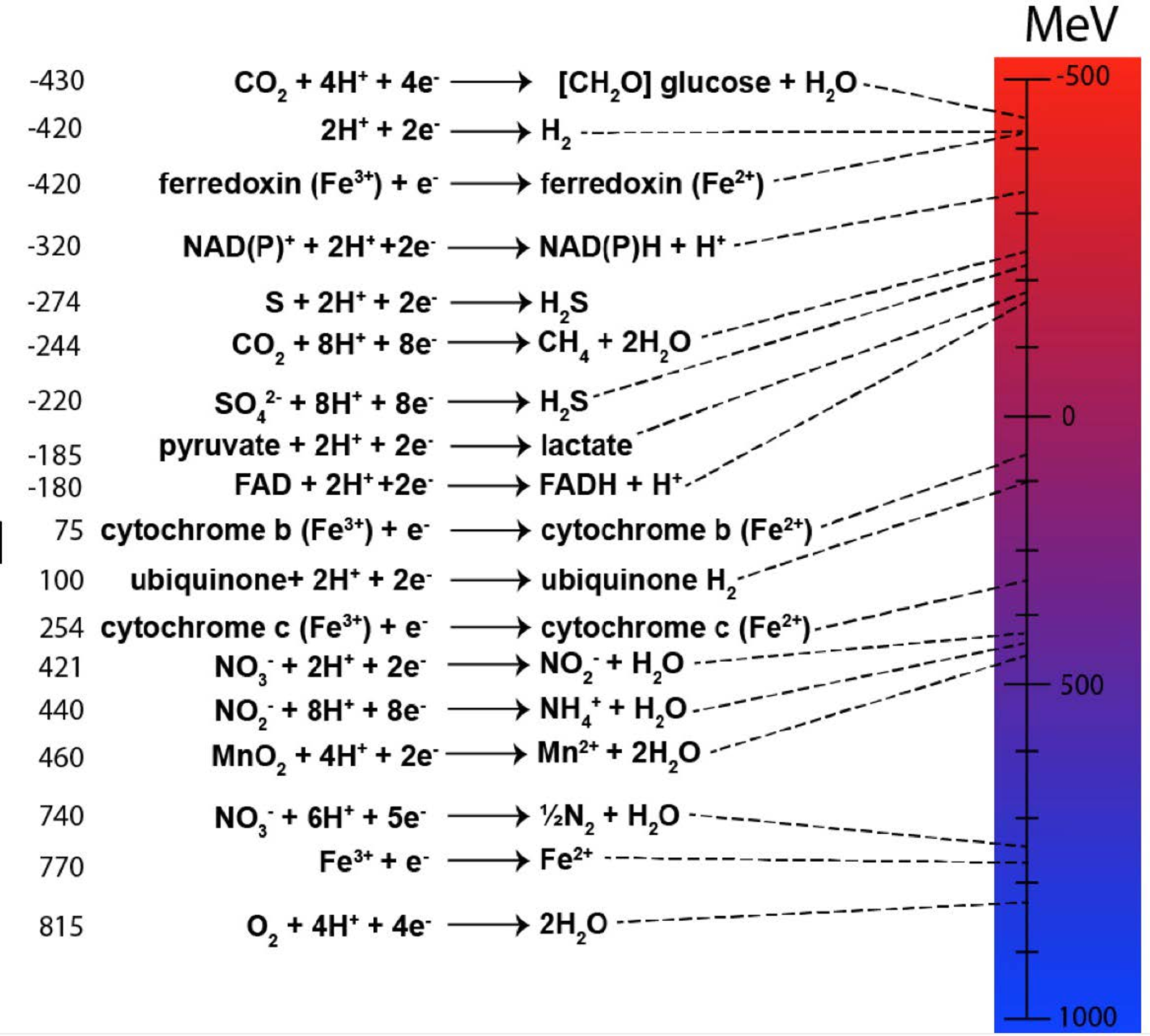 Solved 12) According to the redox tower picture, which of | Chegg.com