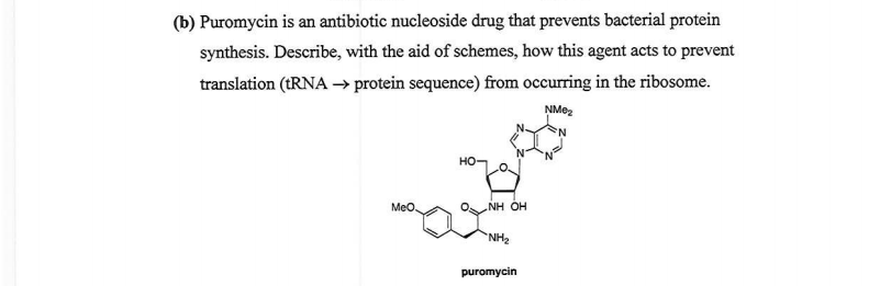 Solved (b) Puromycin is an antibiotic nucleoside drug that | Chegg.com