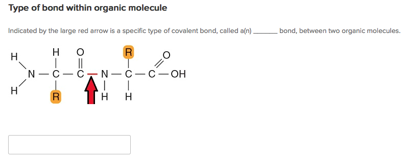 Solved Indicated by the large red arrow is a specific type | Chegg.com
