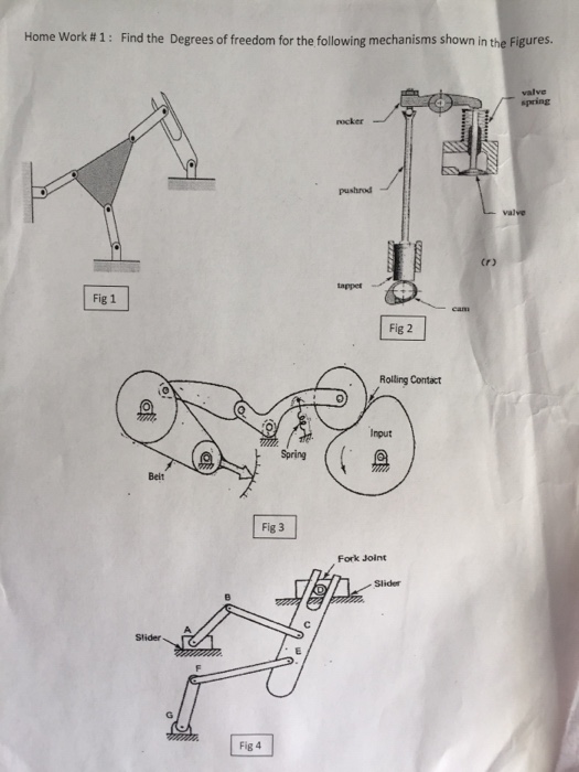 Solved Find the Degrees of freedom for the following | Chegg.com