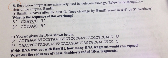 Solved Restriction enzymes are extensively used in molecular | Chegg.com