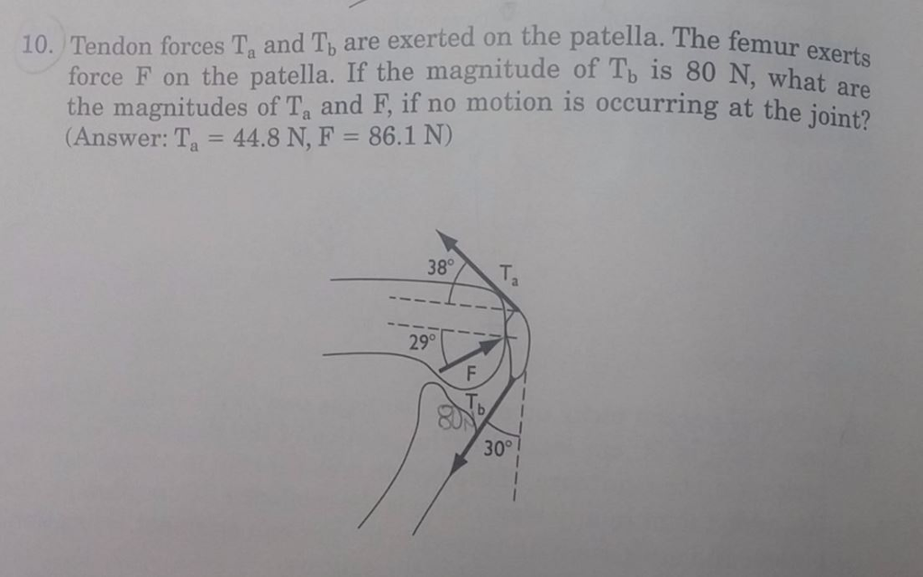 Solved Tendor forces T_a and T_b are exerted on the patella. | Chegg.com