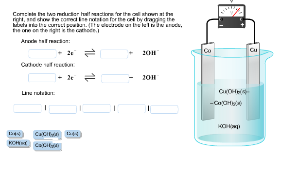 Solved Complete the two reduction half reactions for the | Chegg.com
