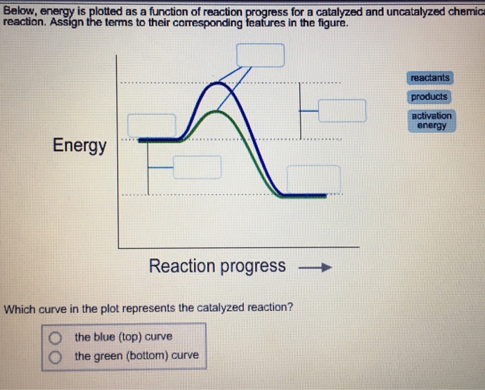 Solved Below, energy is plotted as a function of reaction | Chegg.com