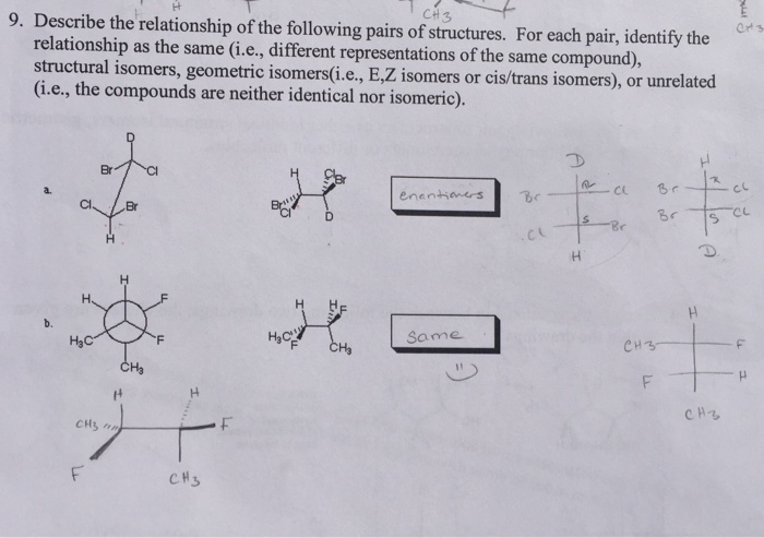 Solved Describe the relationship of the following pairs of | Chegg.com