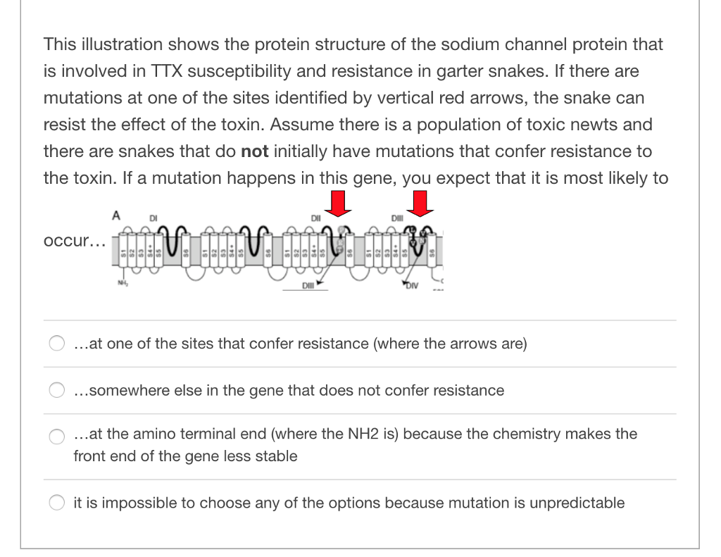 Solved This illustration shows the protein structure of the | Chegg.com