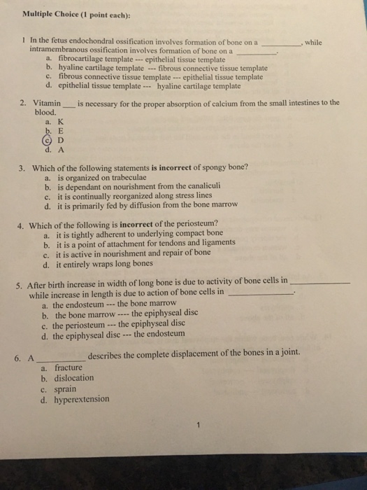Solved Multiple Choice (1 point each): 1 In the fetus | Chegg.com