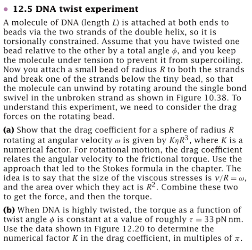 12.5 DNA twist experiment A molecule of DNA (length | Chegg.com
