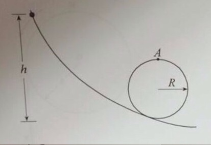Solved A bead slides without friction around a | Chegg.com