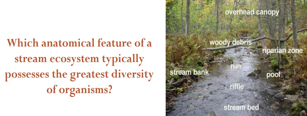 Solved overhead canopy Which anatomical feature of a stream | Chegg.com