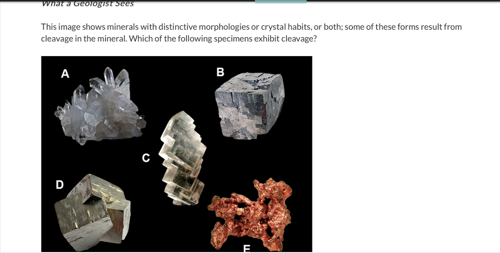 Solved: What A Geologist Sees This Image Shows Minerals Wi... | Chegg.com
