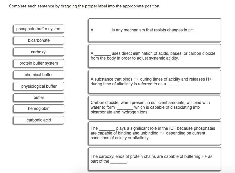 Solved Complete each sentence by dragging the proper label | Chegg.com