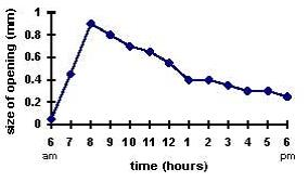 Solved 13- This graph shows the size of the stomatal opening | Chegg.com