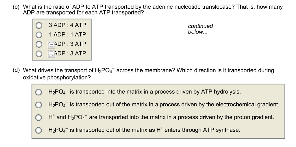 Solved e adenine nucleotide translocase (ADP-ATP | Chegg.com