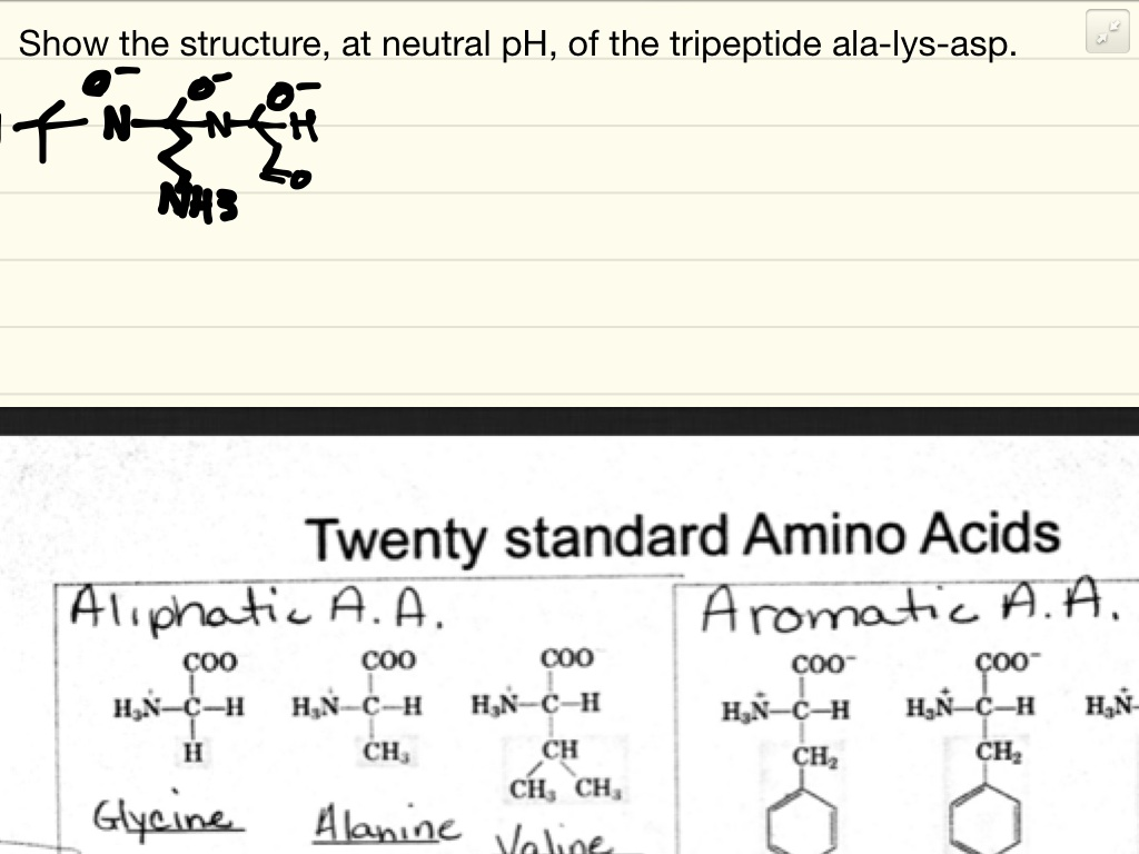 Solved Show the structure, at neutral pH, of the tripeptide | Chegg.com