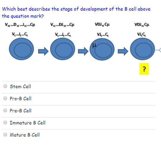 Solved Once a naive T cell has crossed the high endothelial | Chegg.com