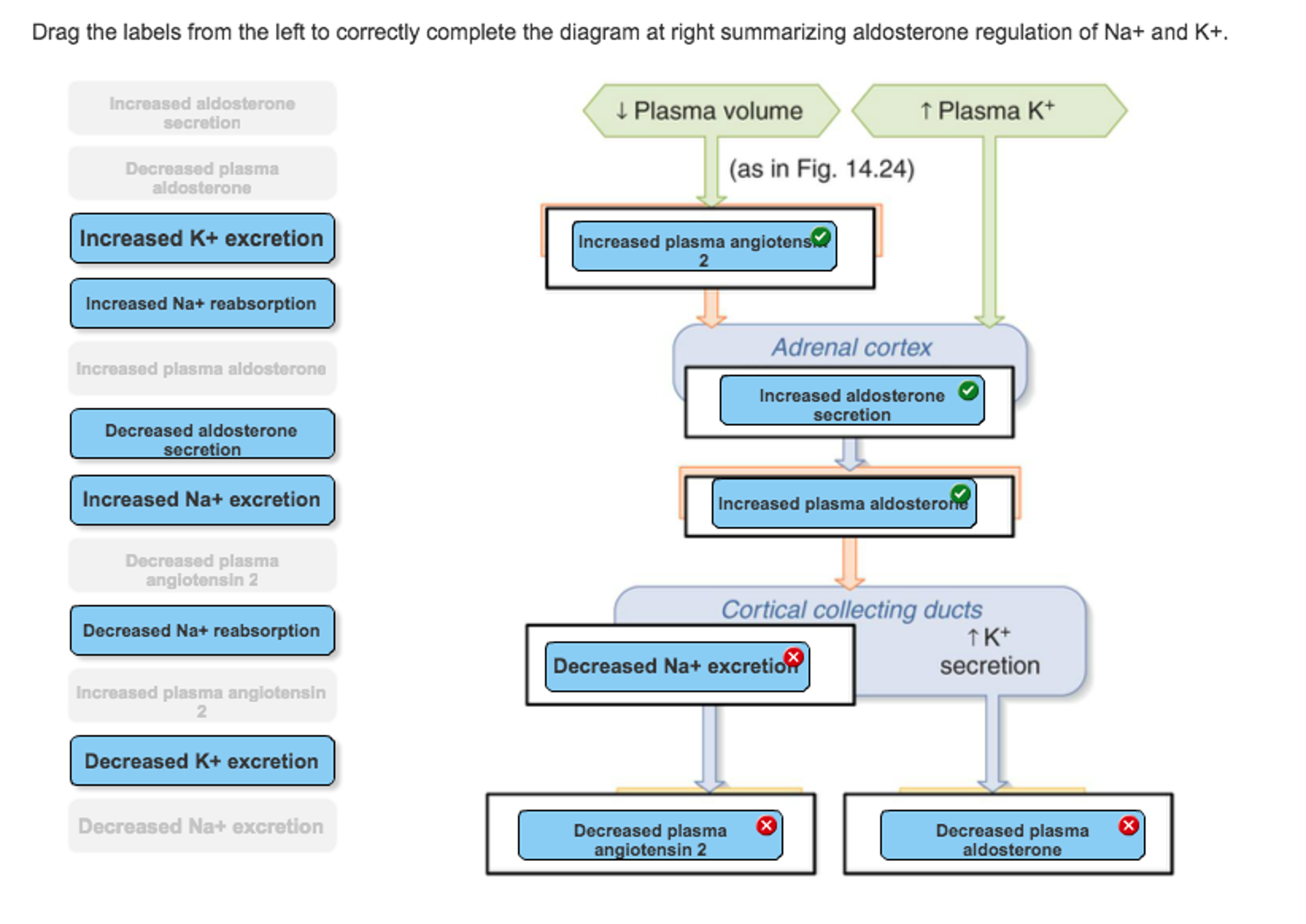 Solved Drag the labels from the left to correctly complete | Chegg.com