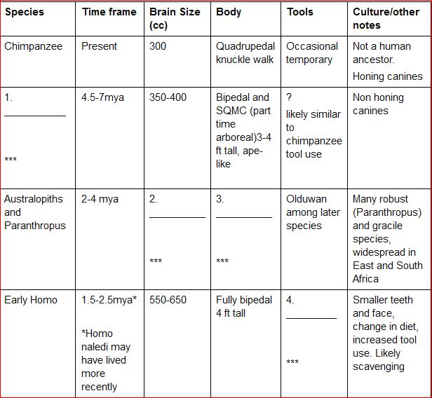 Solved Time frame Brain Size Body Tools Culturelother notes | Chegg.com