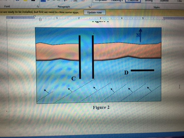 Solved GOL 105: Shorelines Lab Draw in the resulting | Chegg.com