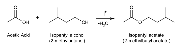 Isopentyl Acetate