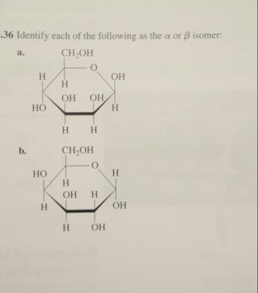 Solved Identify each of the following as the alpha or beta | Chegg.com