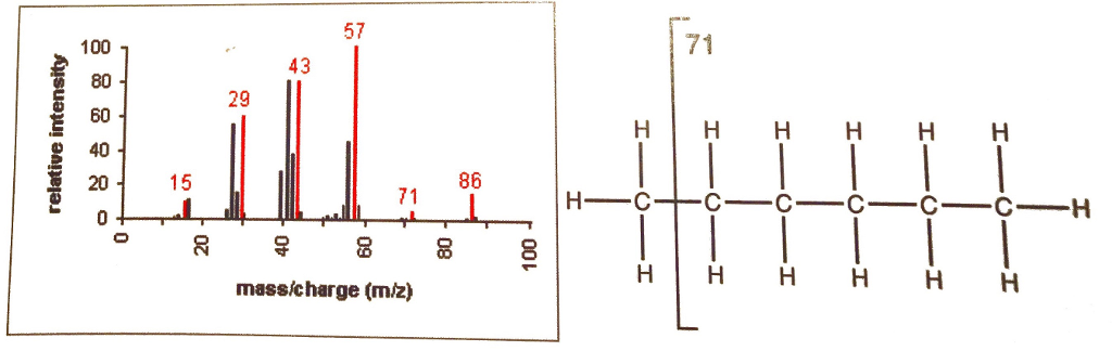 Solved Draw lines on the molecule, hexane below to show | Chegg.com