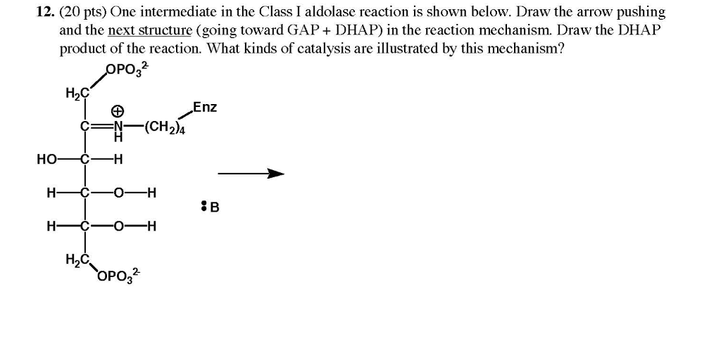 Solved 12. (20 pts) One intermediate in the Class I aldolase | Chegg.com