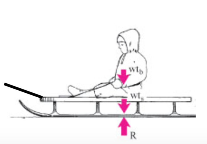 Solved The coefficient of friction between a sled and the | Chegg.com